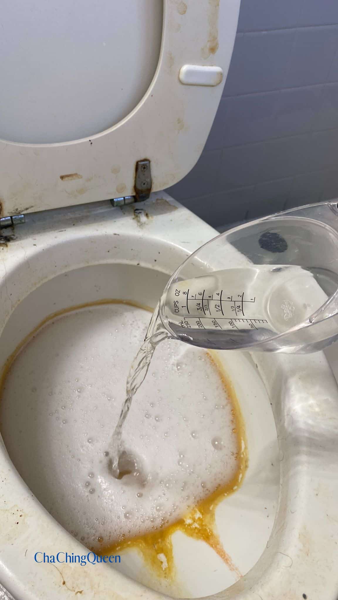 How to Clean a Toilet and How to Remove Hard Water Stains