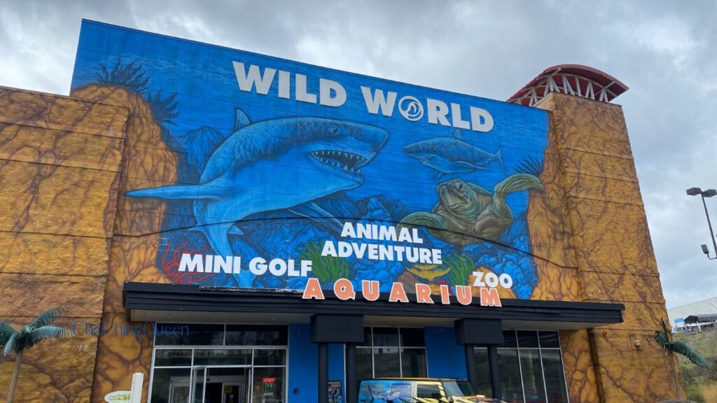 Things To Do In Springfield, MO: A Family's Guide to the Best ...