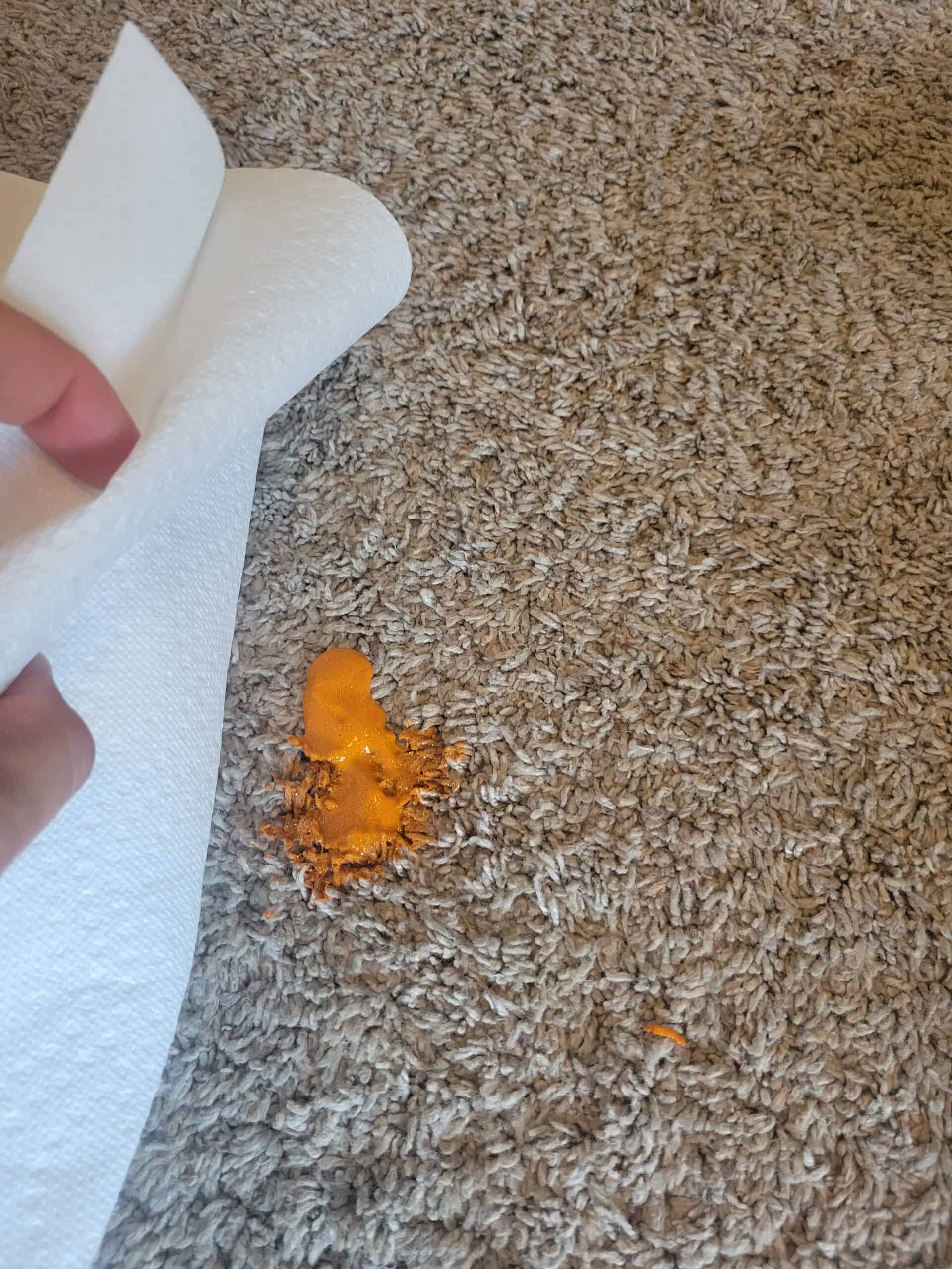 Remove Paint From Carpet: A Tale Of Twins, Art, And A Little Household ...