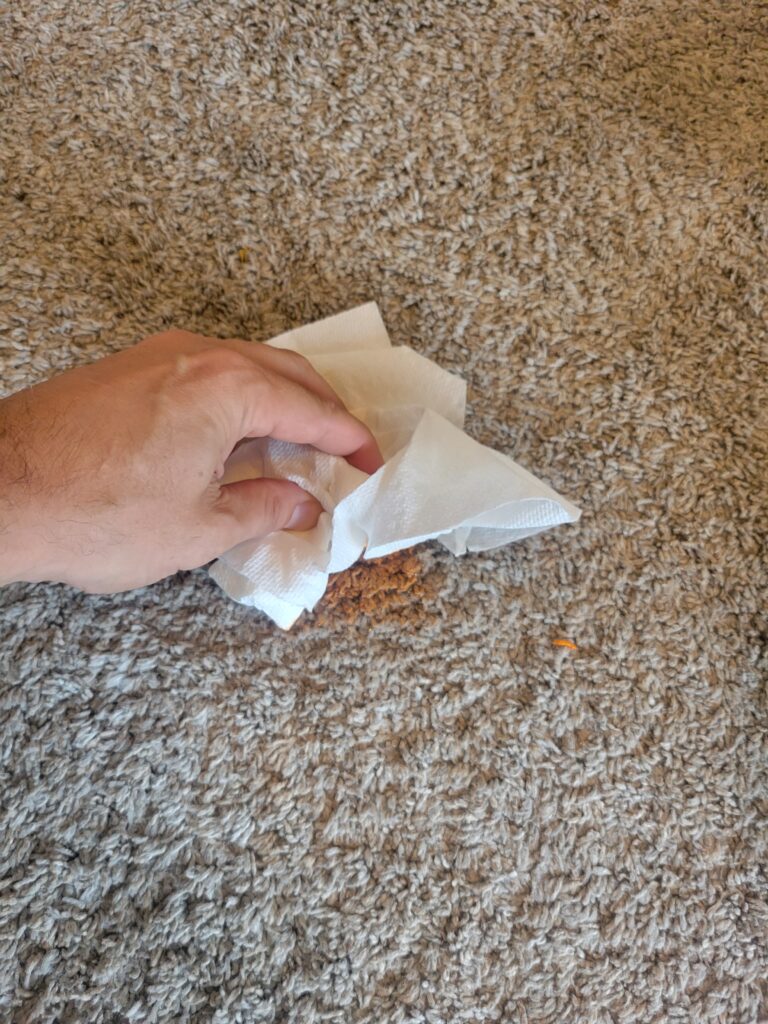 Remove Paint From Carpet: A Tale Of Twins, Art, And A Little Household ...