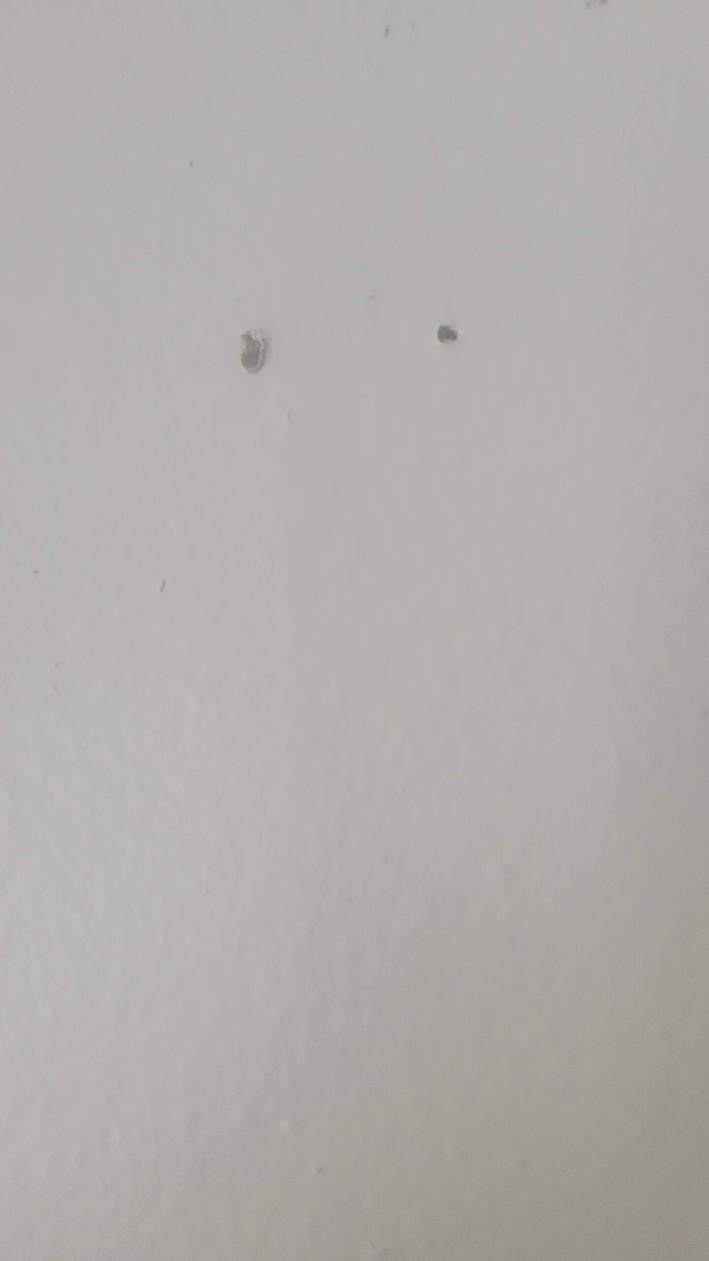 How to Patch Nail Holes: Two Effective Methods (With Video) - Cha Ching ...