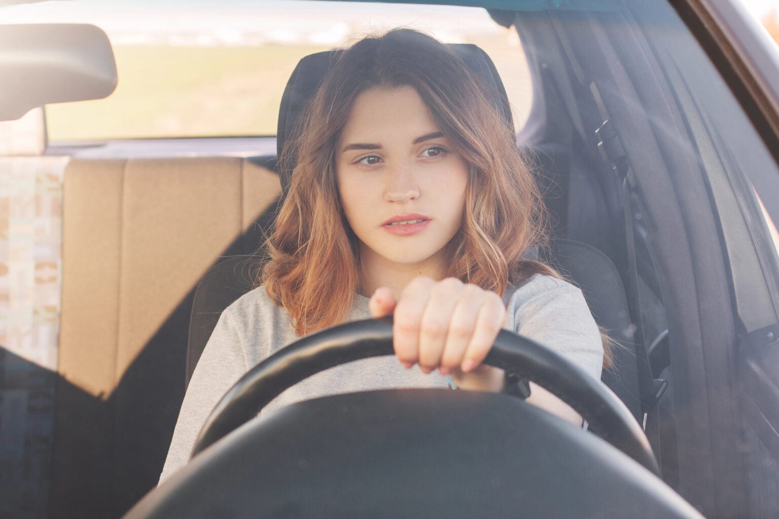 12 States Trying To Ban New Gas Powered Cars (Even Though People Still ...