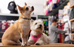 20 Things Frugal Millionaires Don't Buy, Despite Having Money - Cha ...
