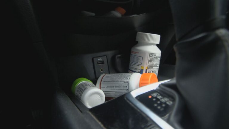 23 Common Items You Should Never Leave in Your Car - Cha Ching Queen