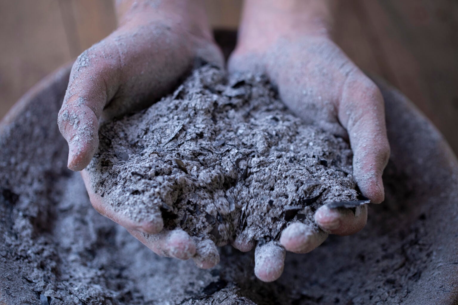 21 Hacks to Turn Wood Ash into Free Fertilizer, Cleaner, and More ...