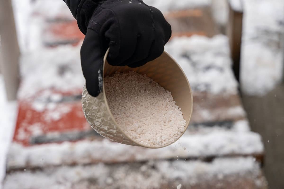 21 Hacks to Turn Wood Ash into Free Fertilizer, Cleaner, and More ...