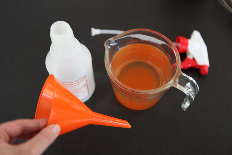 Proven Natural Remedies: 17 Tips to Eliminate Flies Permanently - Cha ...