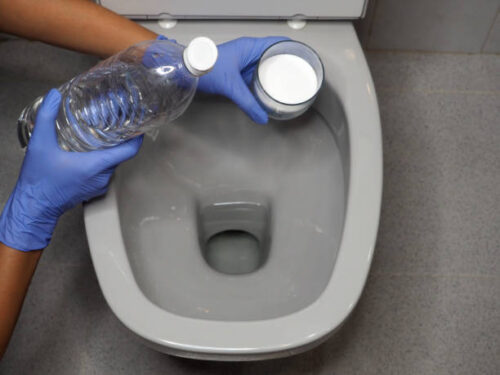 19 Easy Hacks for a Sparkling Clean Toilet - Cha Ching Queen