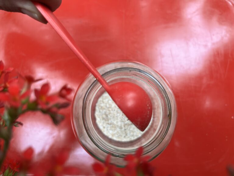 DIY Fertilizer: How to Use Eggshells for Your Garden - Cha Ching Queen