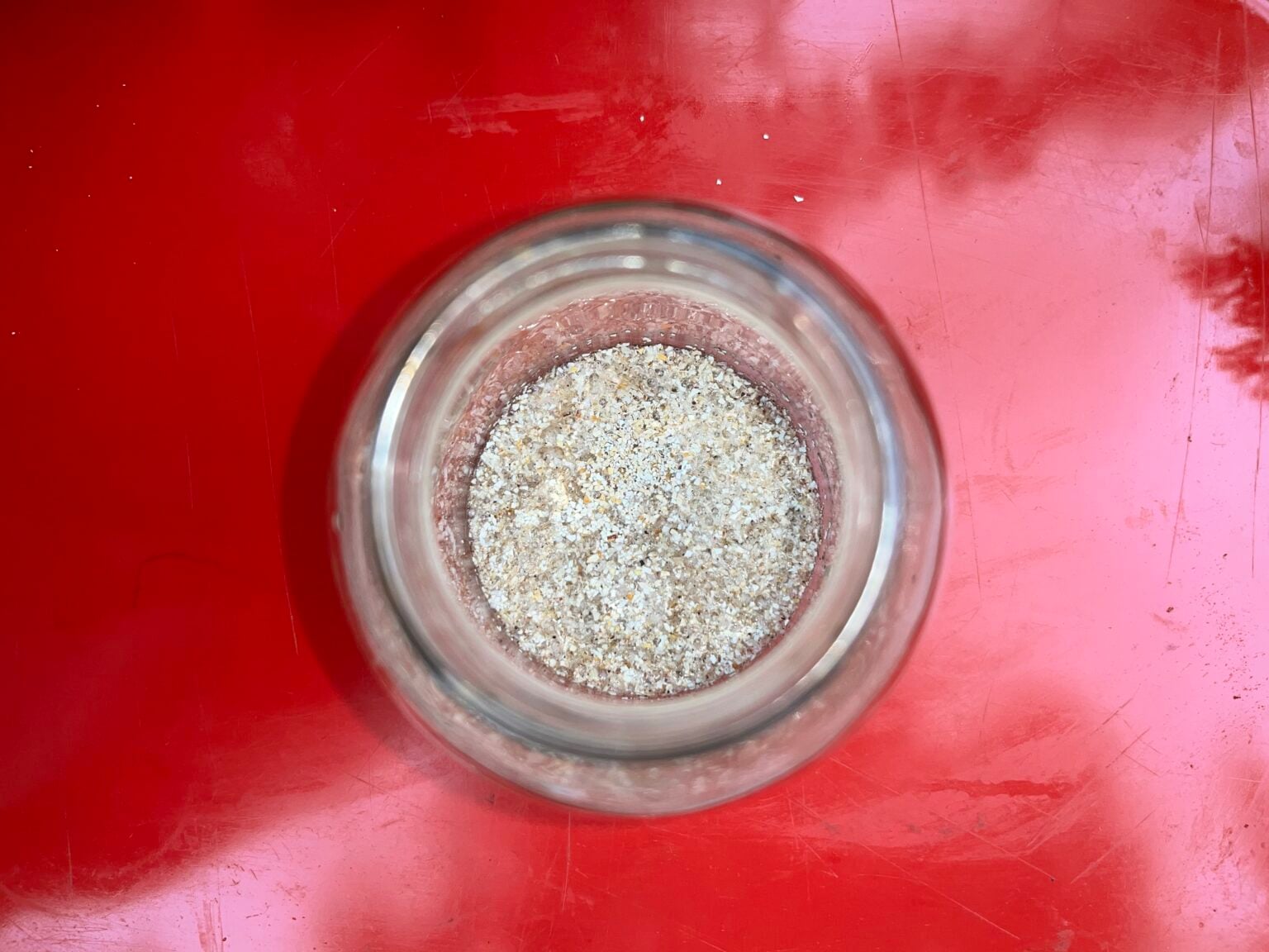 DIY Fertilizer: How to Use Eggshells for Your Garden - Cha Ching Queen